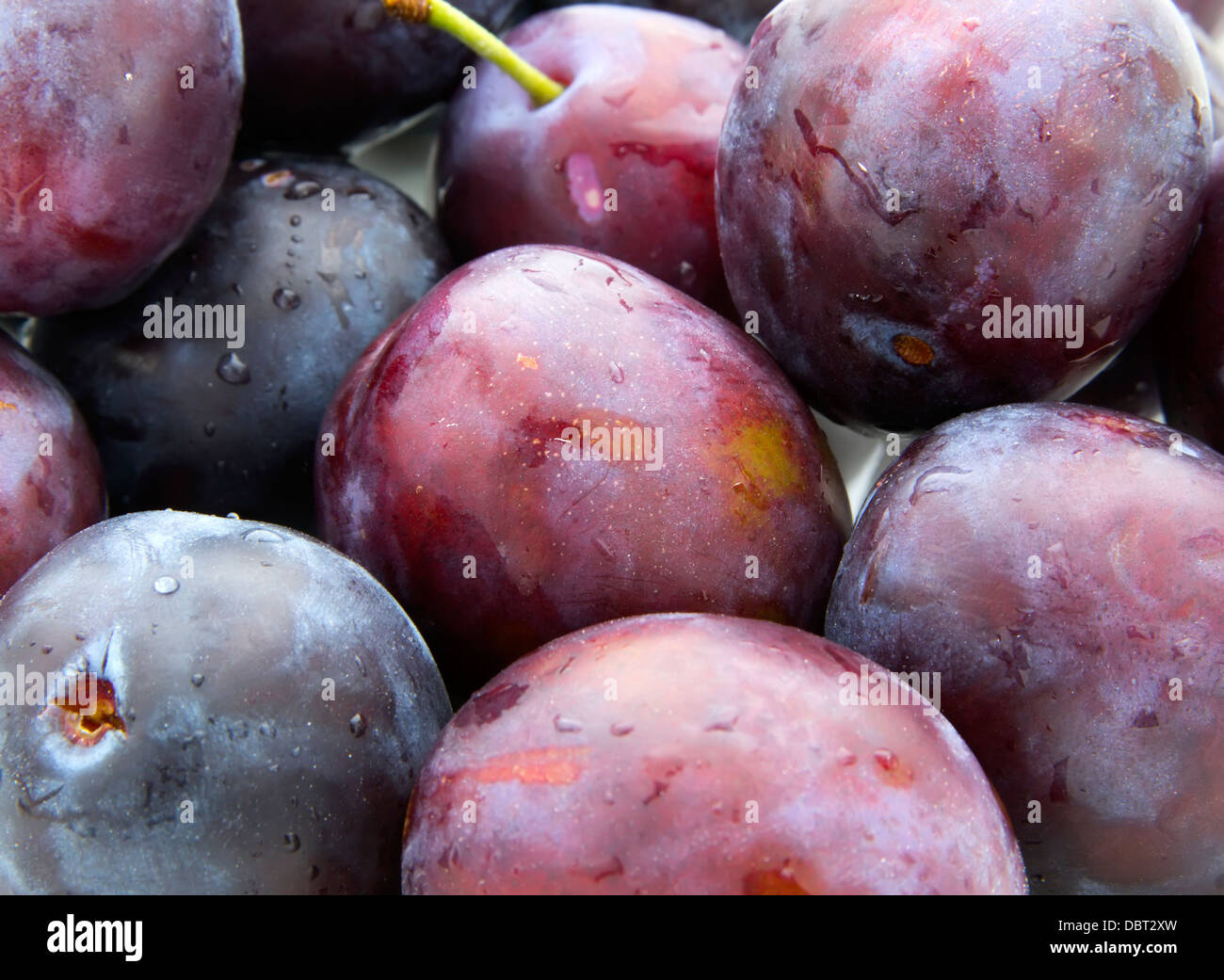 group of organic plums, full frame Stock Photo - Alamy
