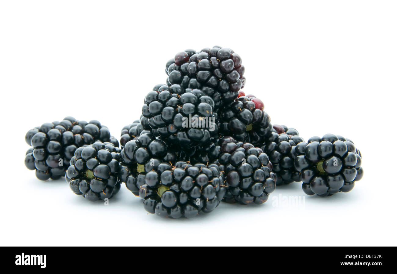 group of organic blackberries isolated on white background Stock Photo ...