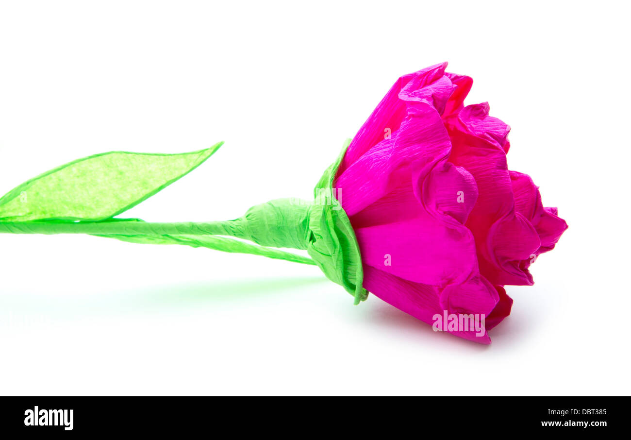 beautiful paper flower isolated on white background Stock Photo - Alamy