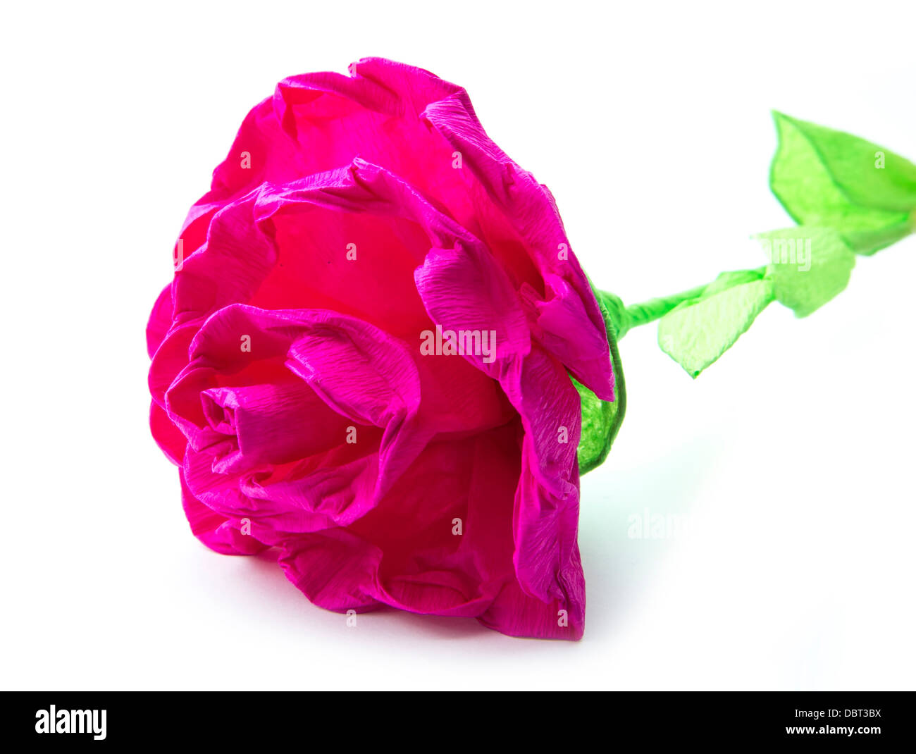 beautiful paper flower isolated on white background Stock Photo - Alamy