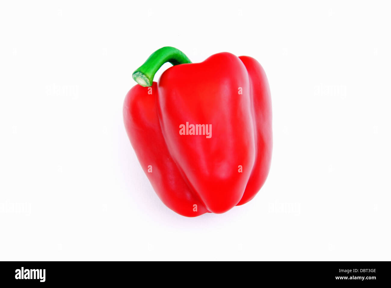 Single Red Bell Pepper on Clear Background Stock Photo - Alamy