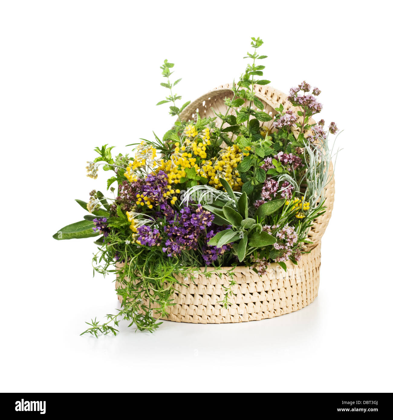 Basket of blooming herbs on white background Stock Photo - Alamy