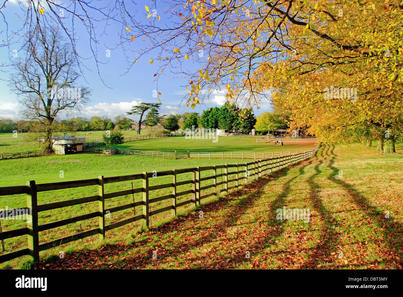 Northamptonshire countryside autumn hi-res stock photography and images ...
