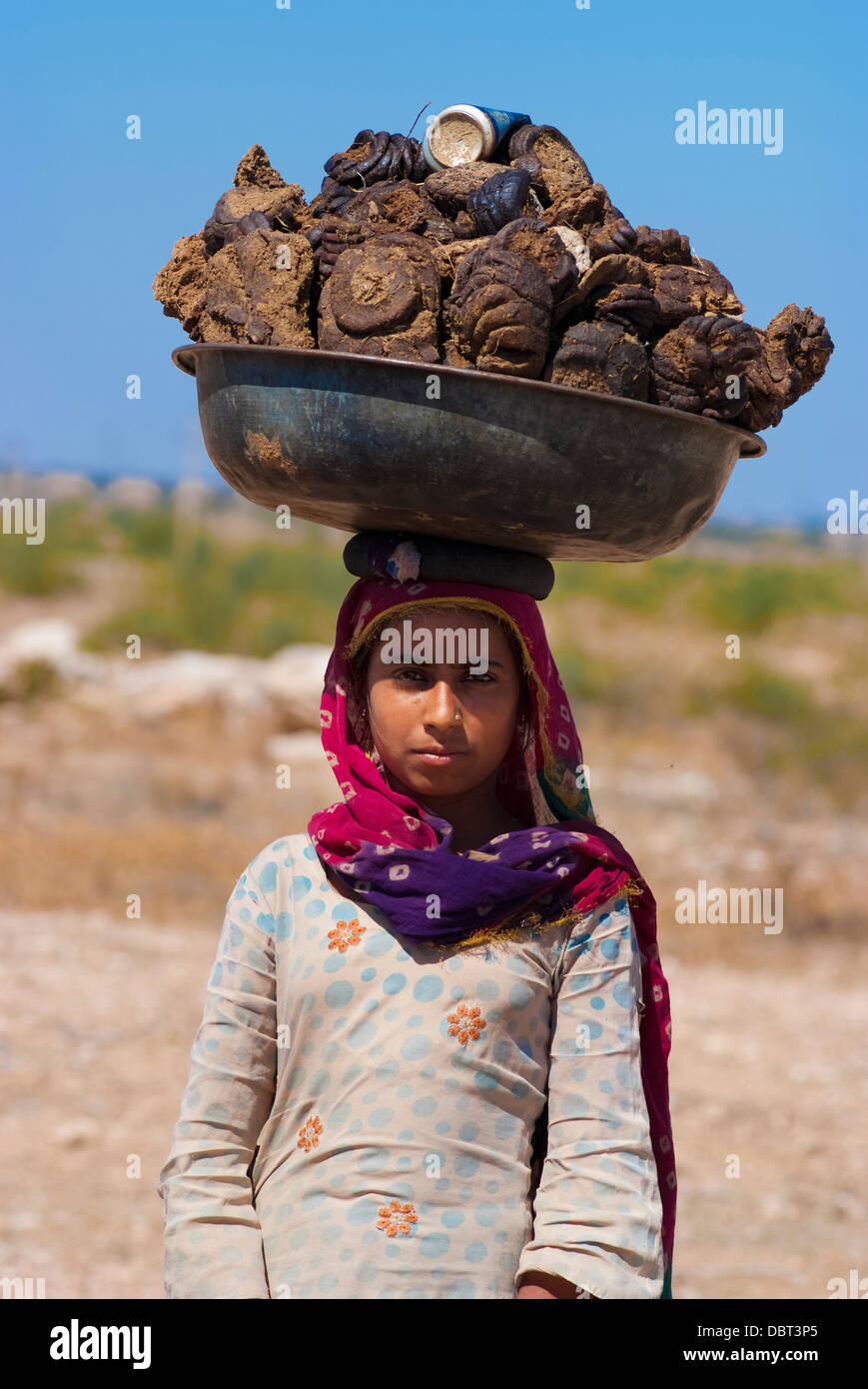 India Cow Dung High Resolution Stock Photography and Images - Alamy