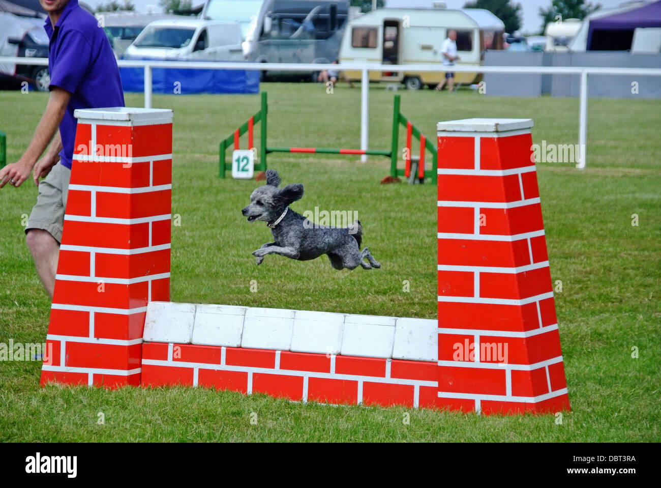 Dog trainer dog trainers hi-res stock photography and images - Alamy