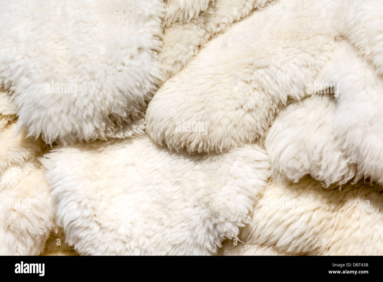 Fluffy sheep skin background Stock Photo - Alamy