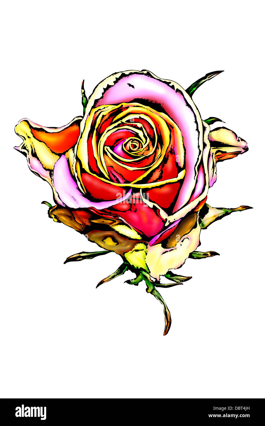 A flower illustration Stock Photo - Alamy