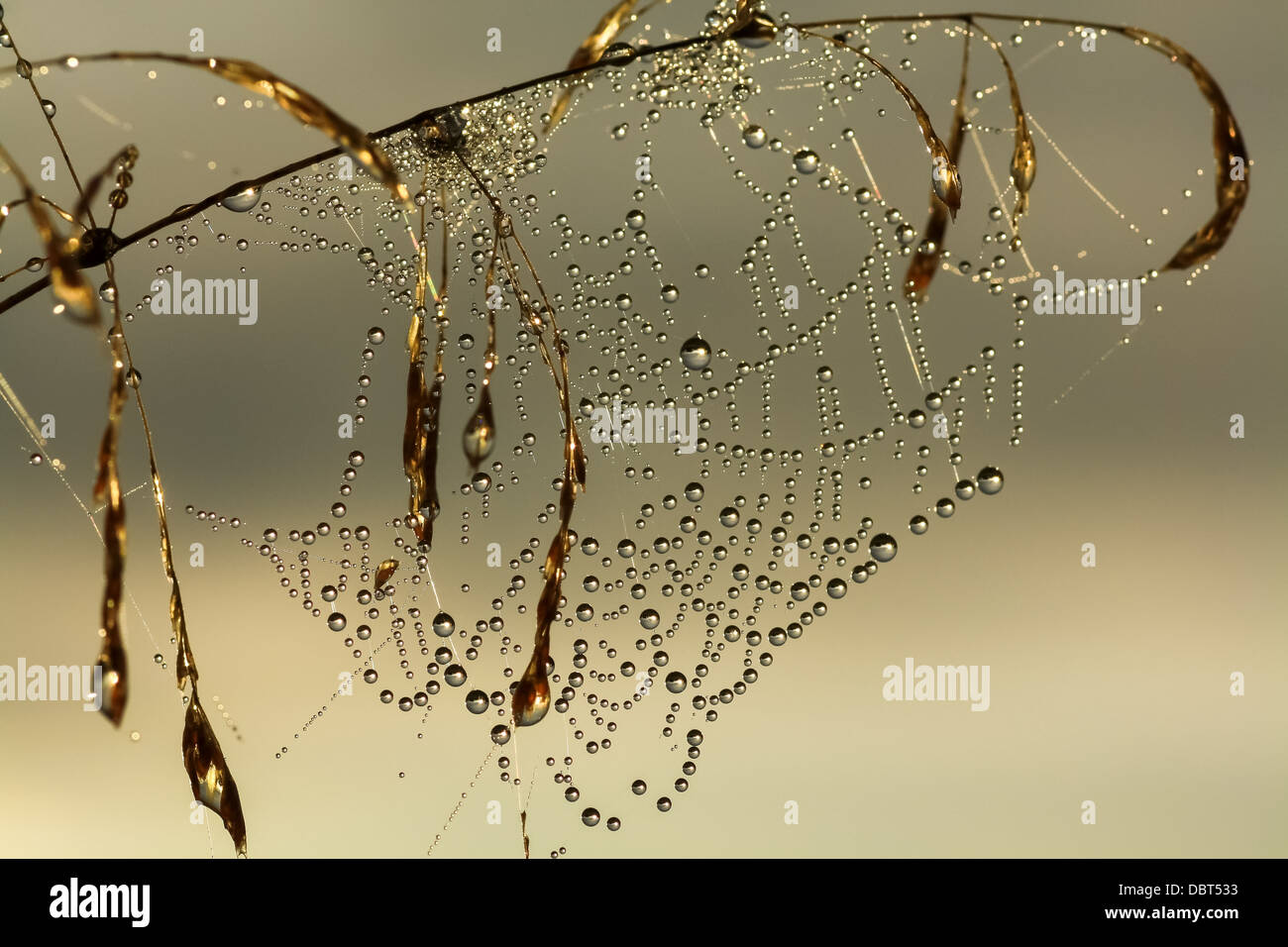 Water glinting in the sun hi-res stock photography and images - Alamy