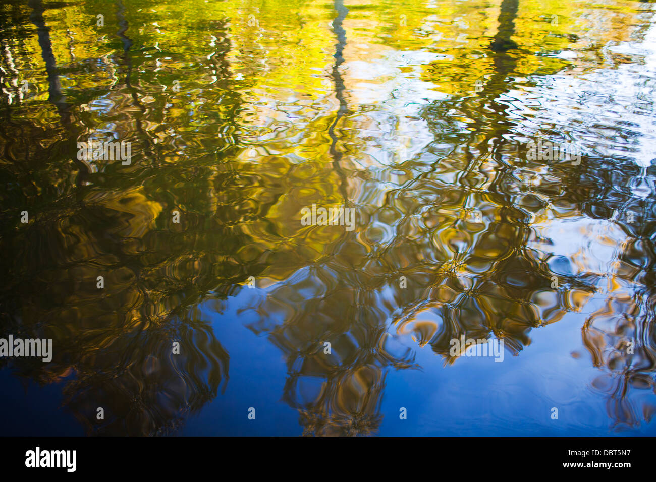 Reflecting trees in water hi-res stock photography and images - Alamy