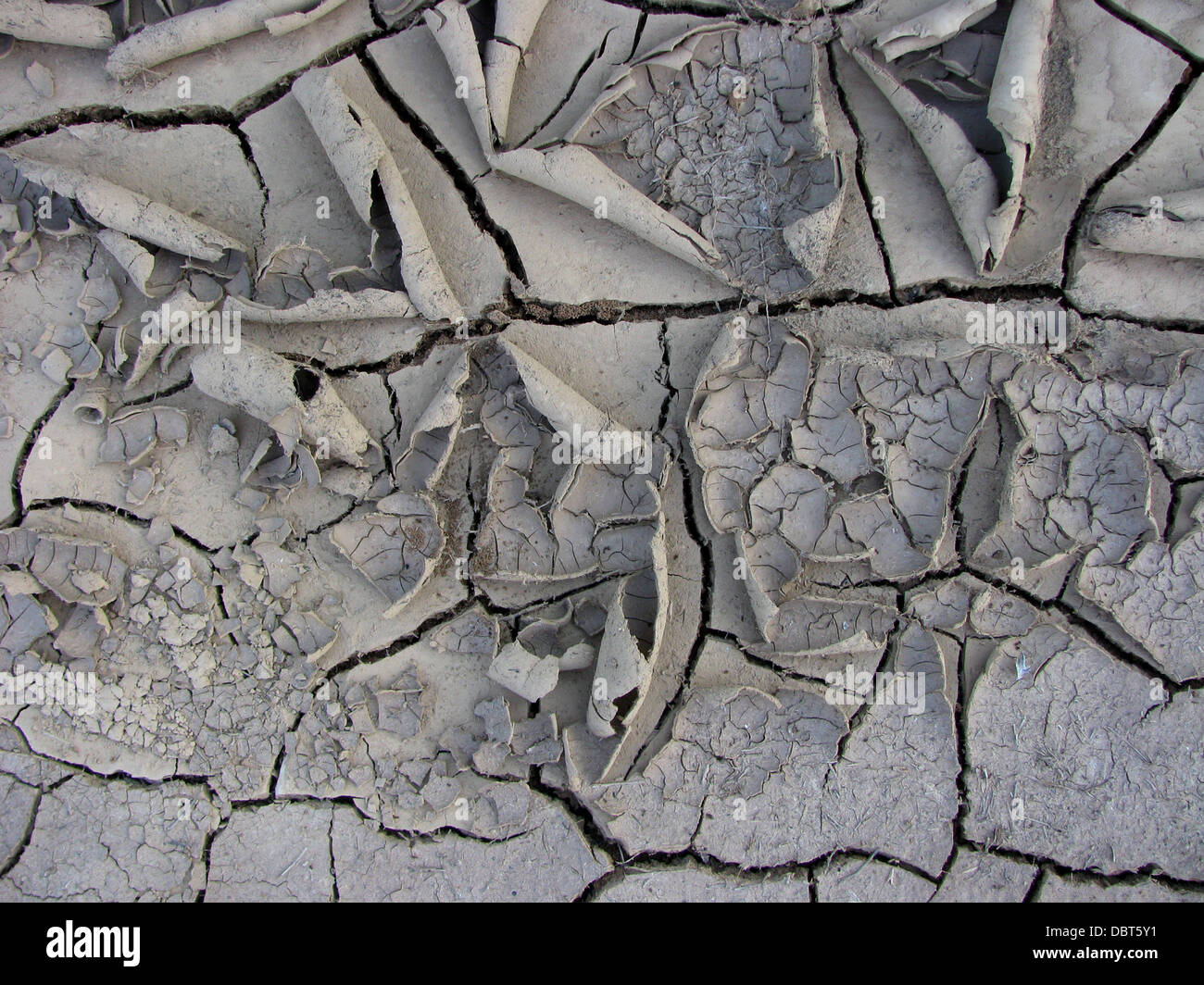 Cracked soil ground Stock Photo - Alamy