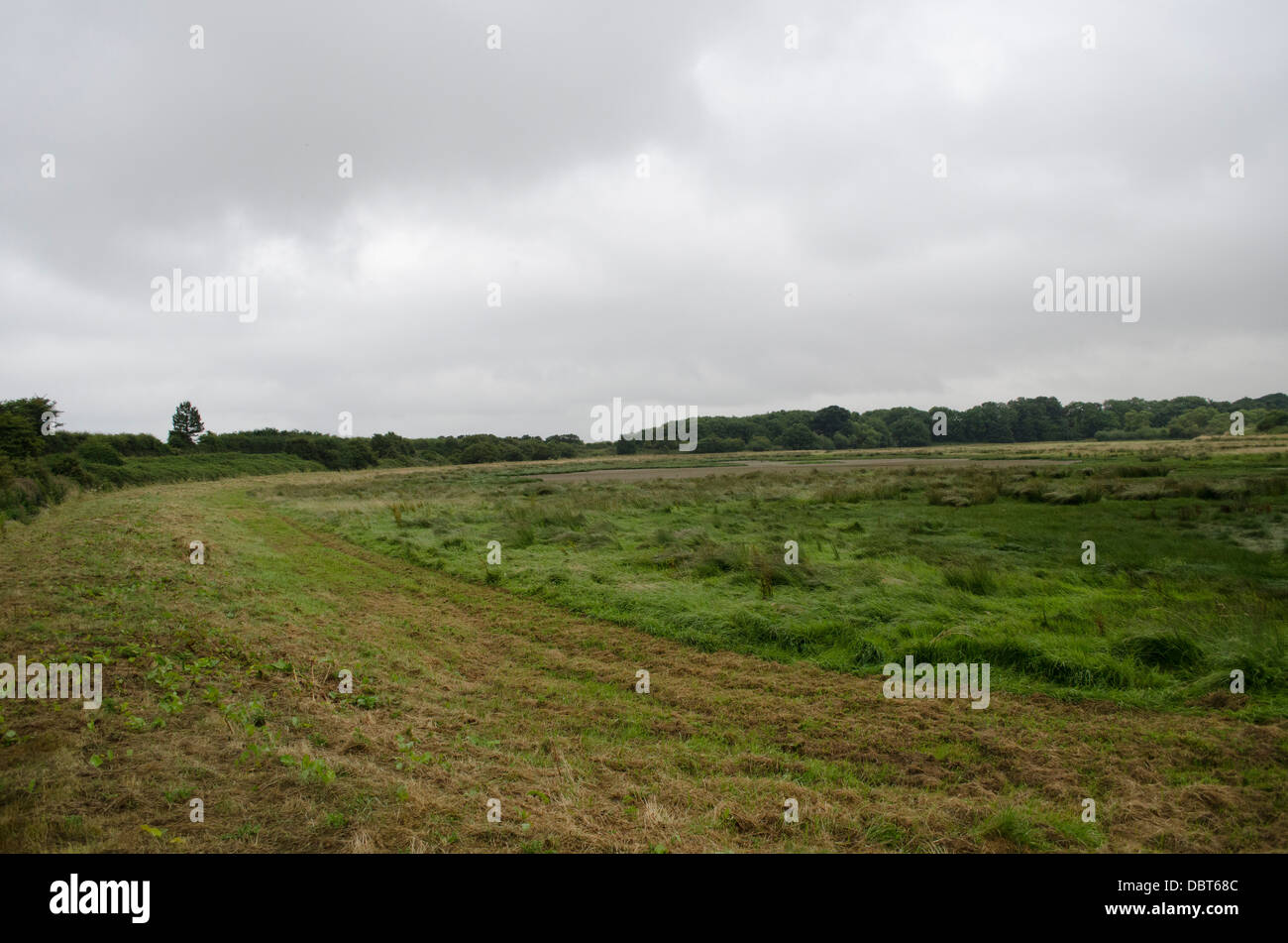 On salt marsh hi-res stock photography and images - Alamy