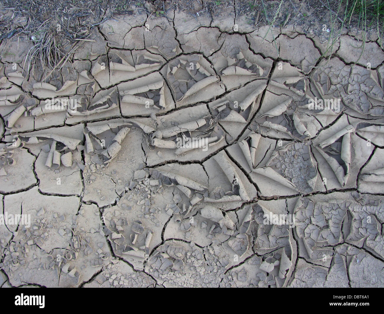 Cracked soil ground Stock Photo - Alamy