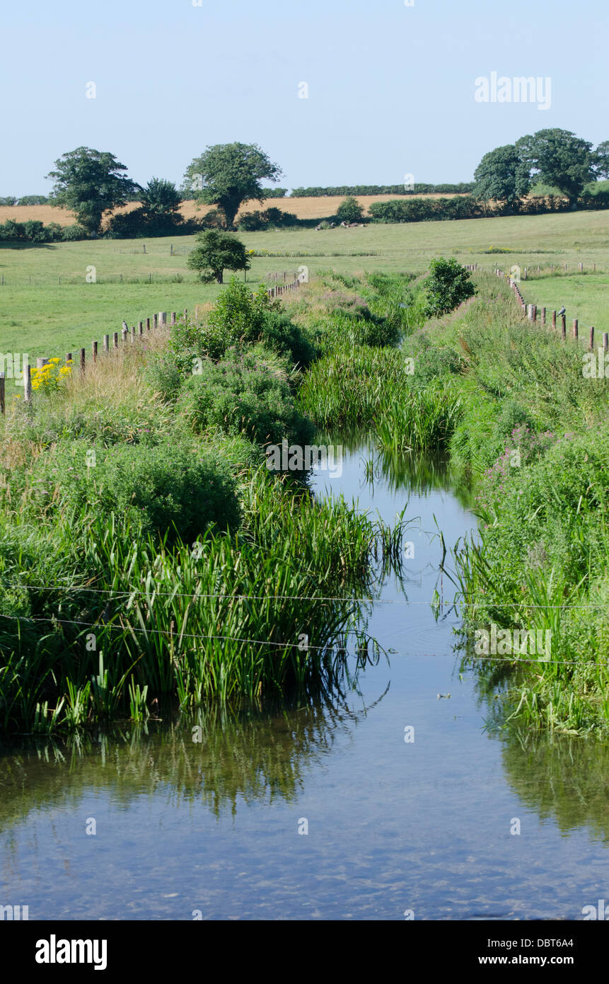 Stiffkey High Resolution Stock Photography and Images - Alamy