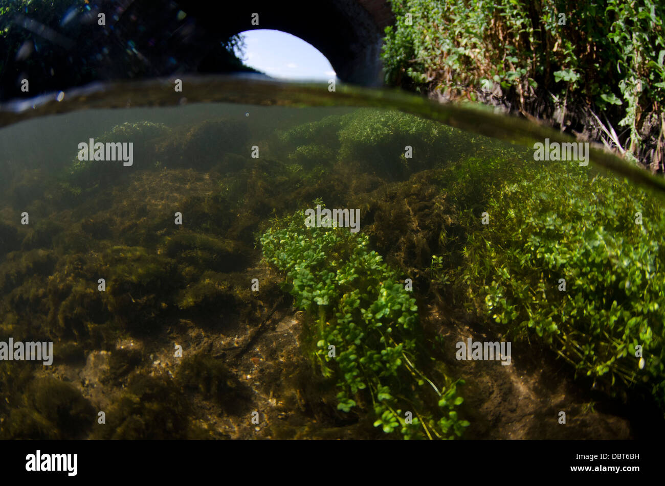 Underwater river hi-res stock photography and images - Alamy