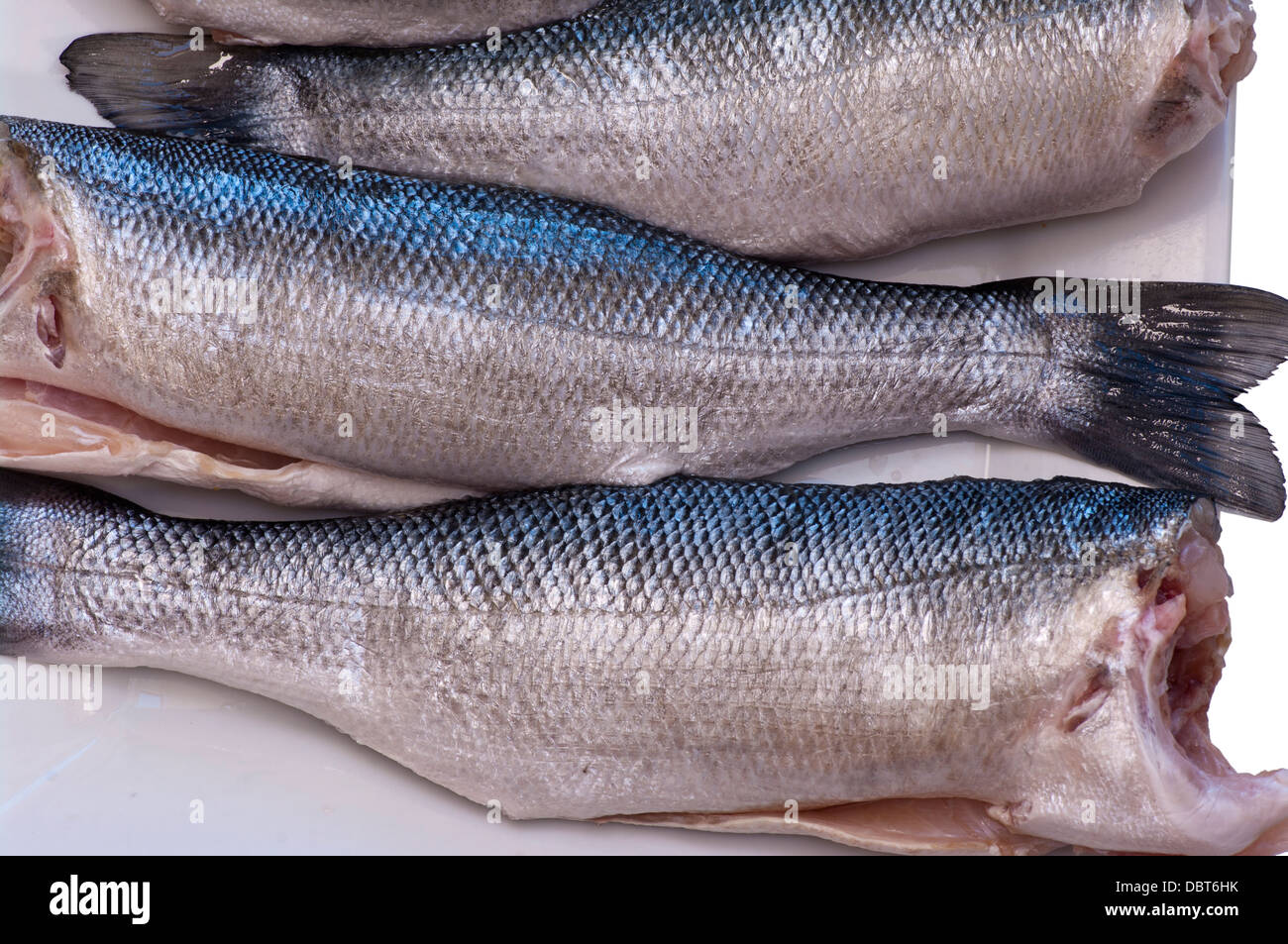 Fresh Sea Bass Filleted Fish Stock Photo - Alamy