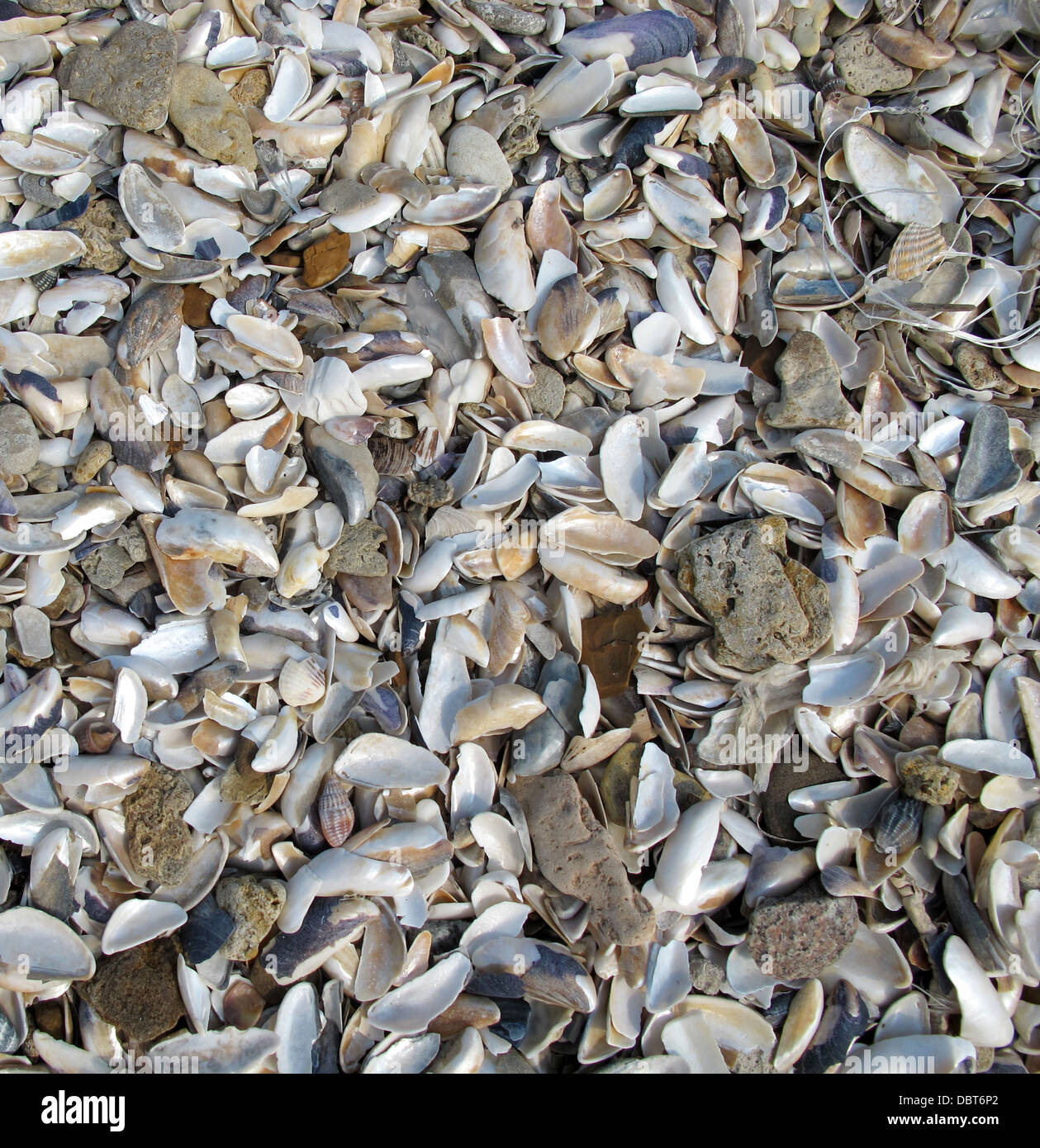 Large sea hi-res stock photography and images - Alamy