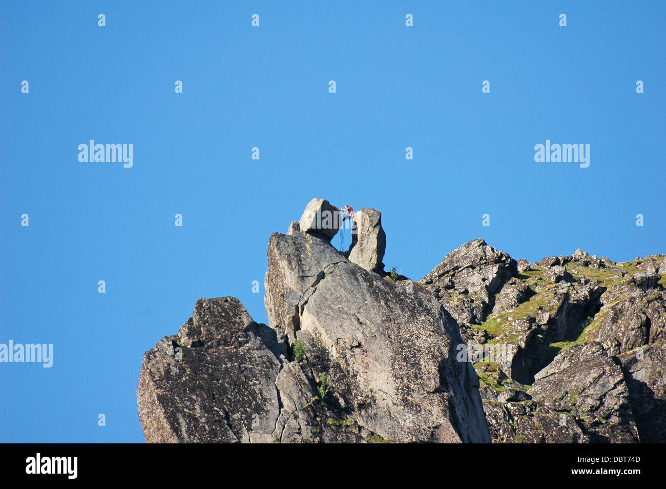 Svolvaer Goat High Resolution Stock Photography and Images - Alamy