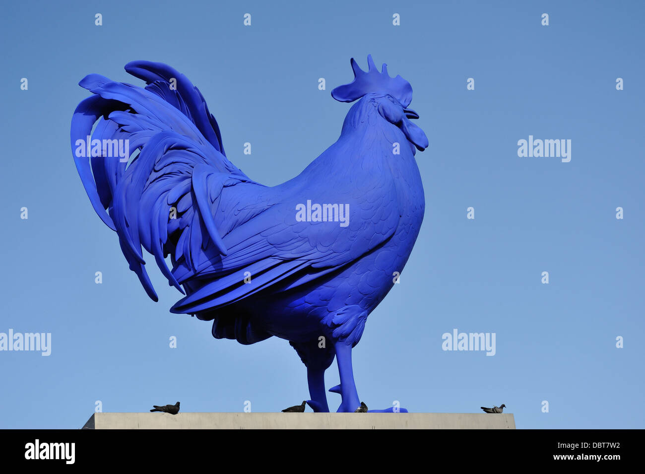 Big blue cock erected on fourth plinth in London's Trafalgar Square Stock Photo - Alamy