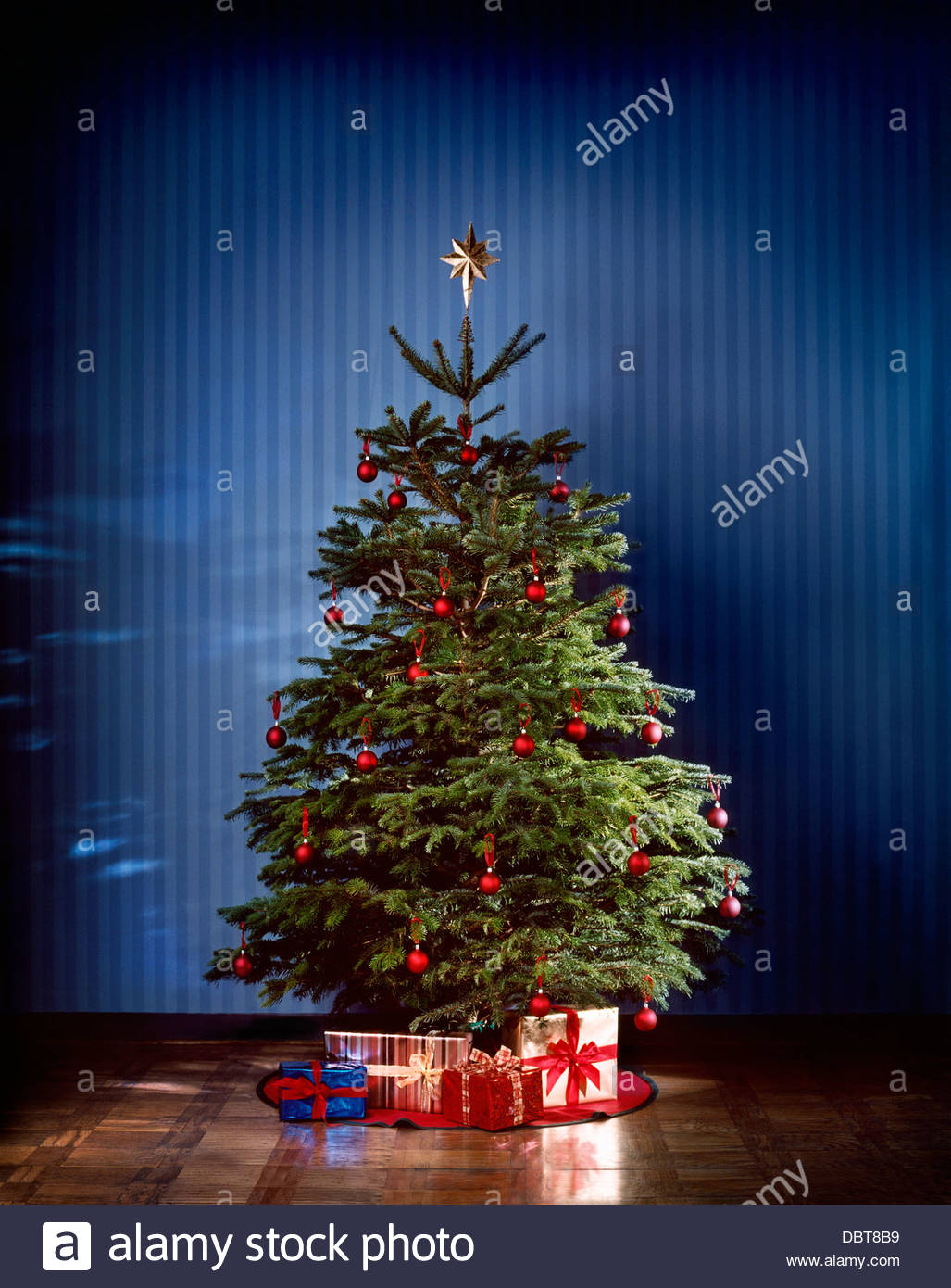 Traditional Christmas Tree Stock Photos & Traditional Christmas Tree ...
