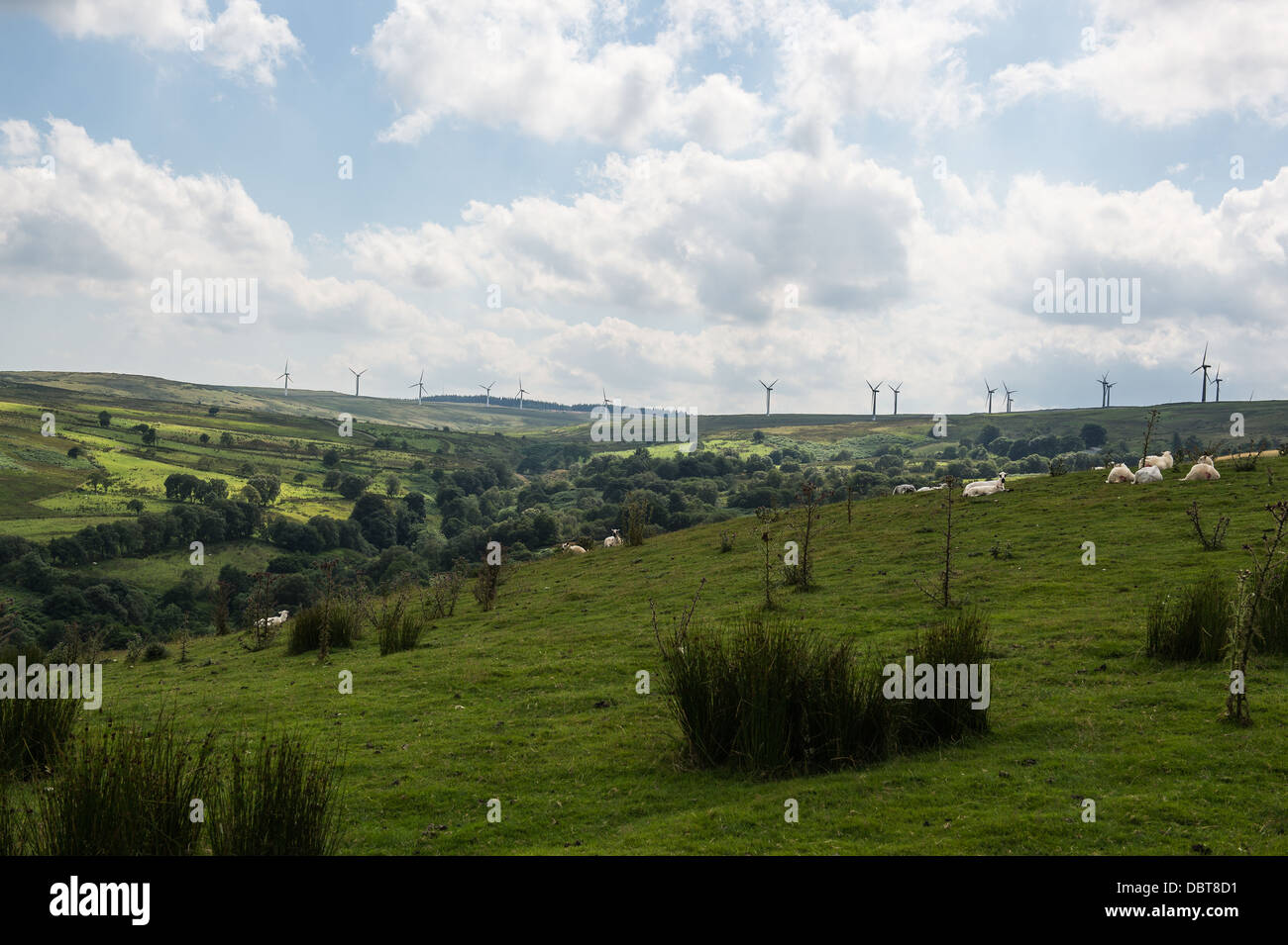 Carno Wind Farm on Trannon Moor, Powys Stock Photo - Alamy