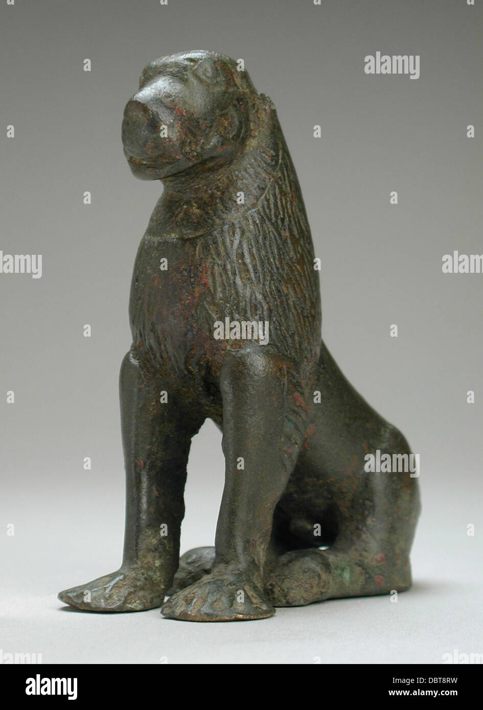 Lion m hi-res stock photography and images - Alamy