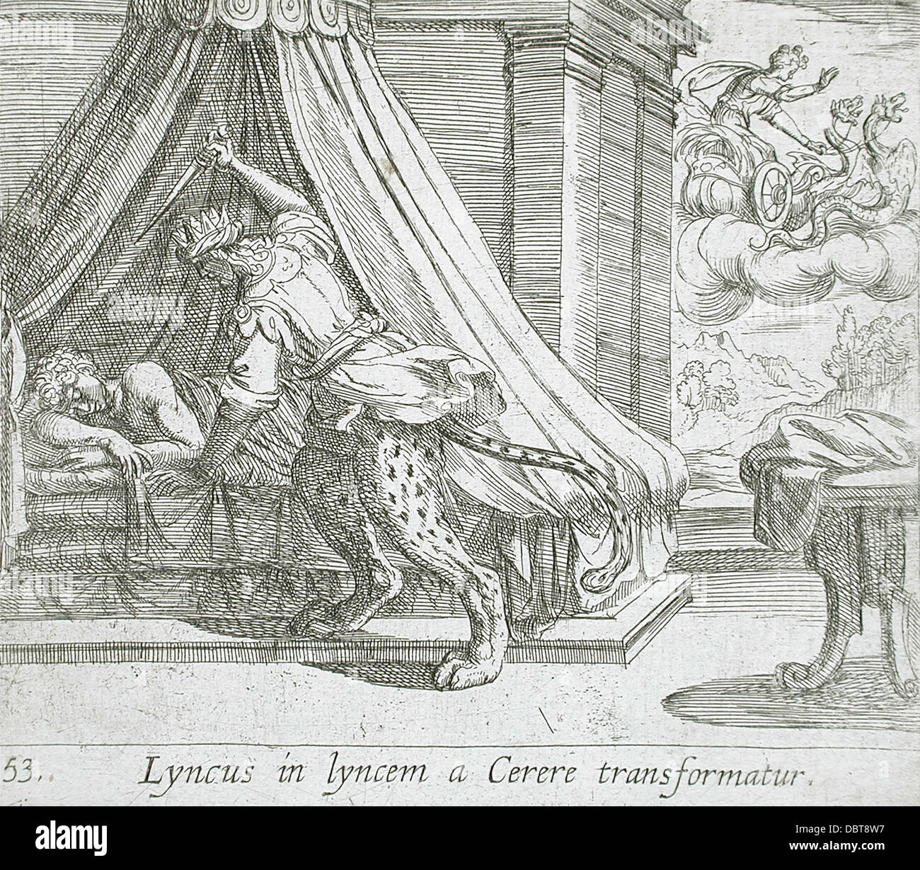 Lyncus turned into a lynx hi-res stock photography and images - Alamy