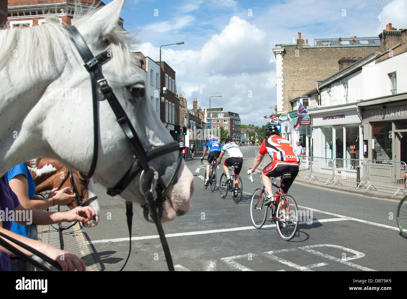 Wimbledon London, UK. 4th Aug,2013. A horse spectator watches as ...