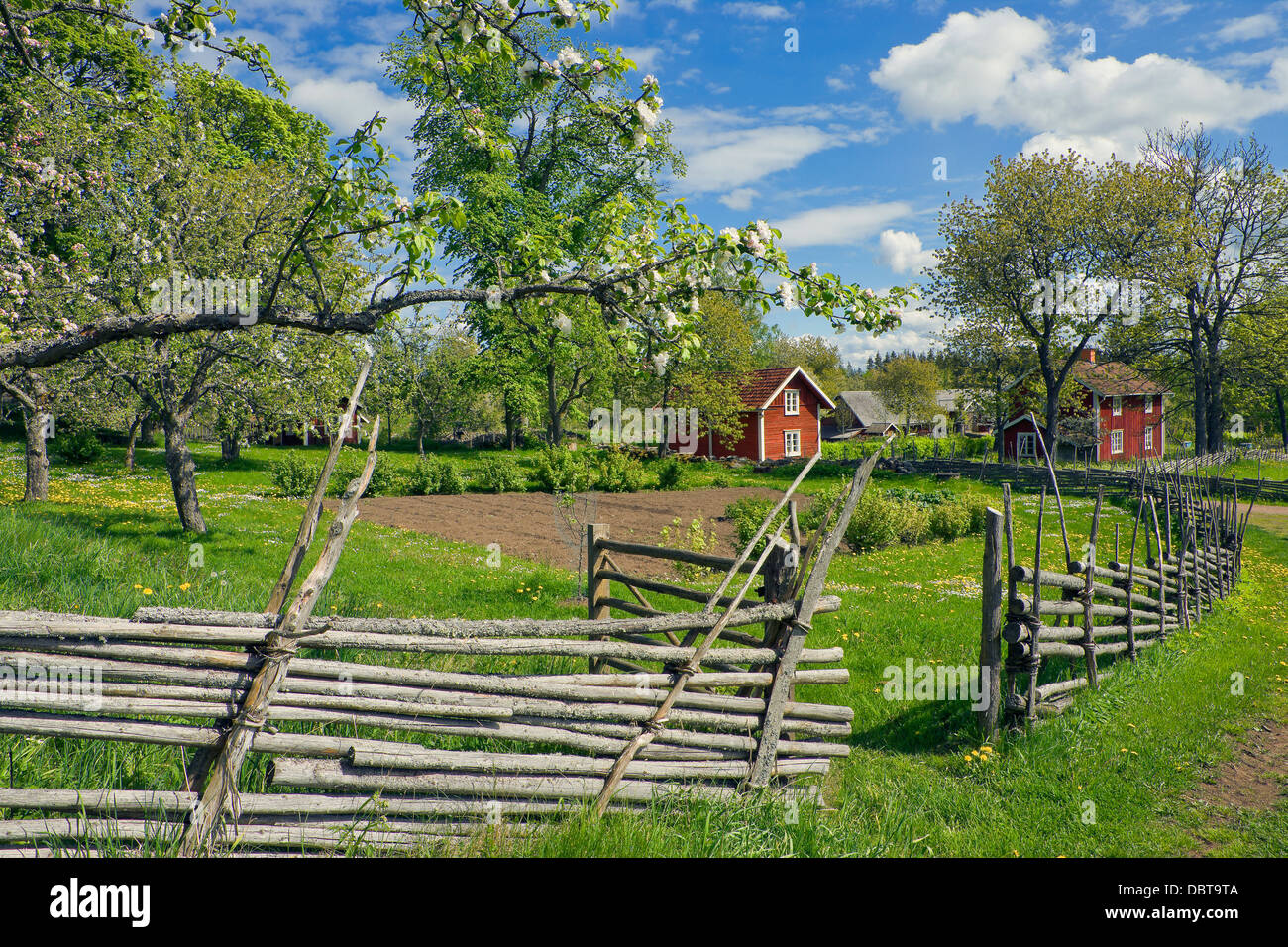 View of houses and orchard Stock Photo - Alamy