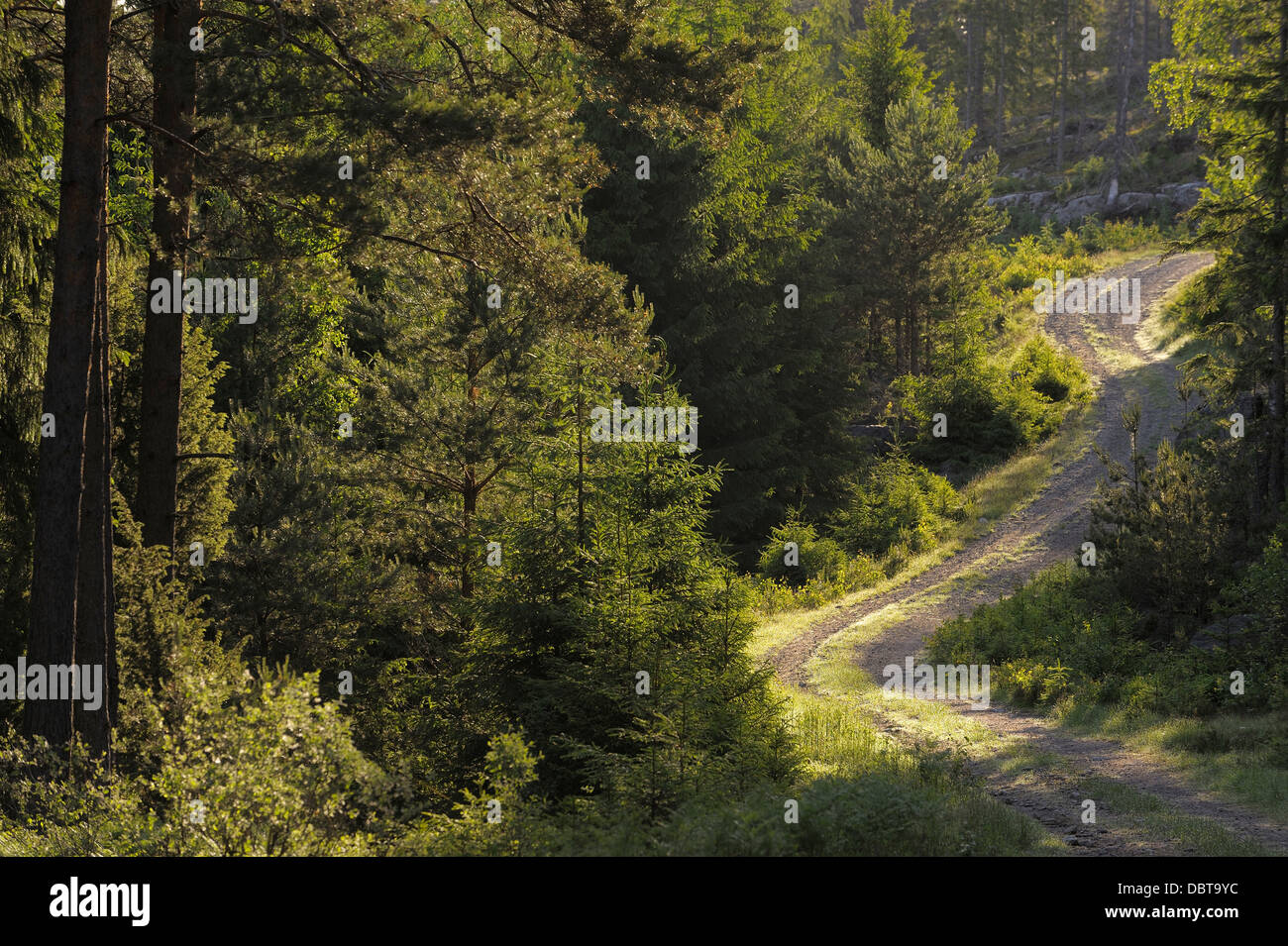 Through track hi-res stock photography and images - Alamy