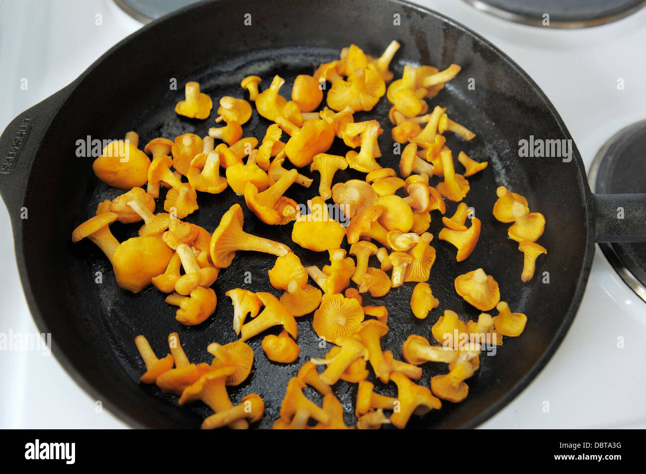 Fraying hi-res stock photography and images - Alamy