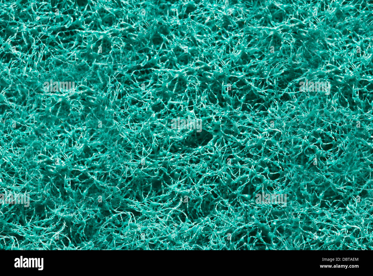 Green sponge background or texture Stock Photo - Alamy