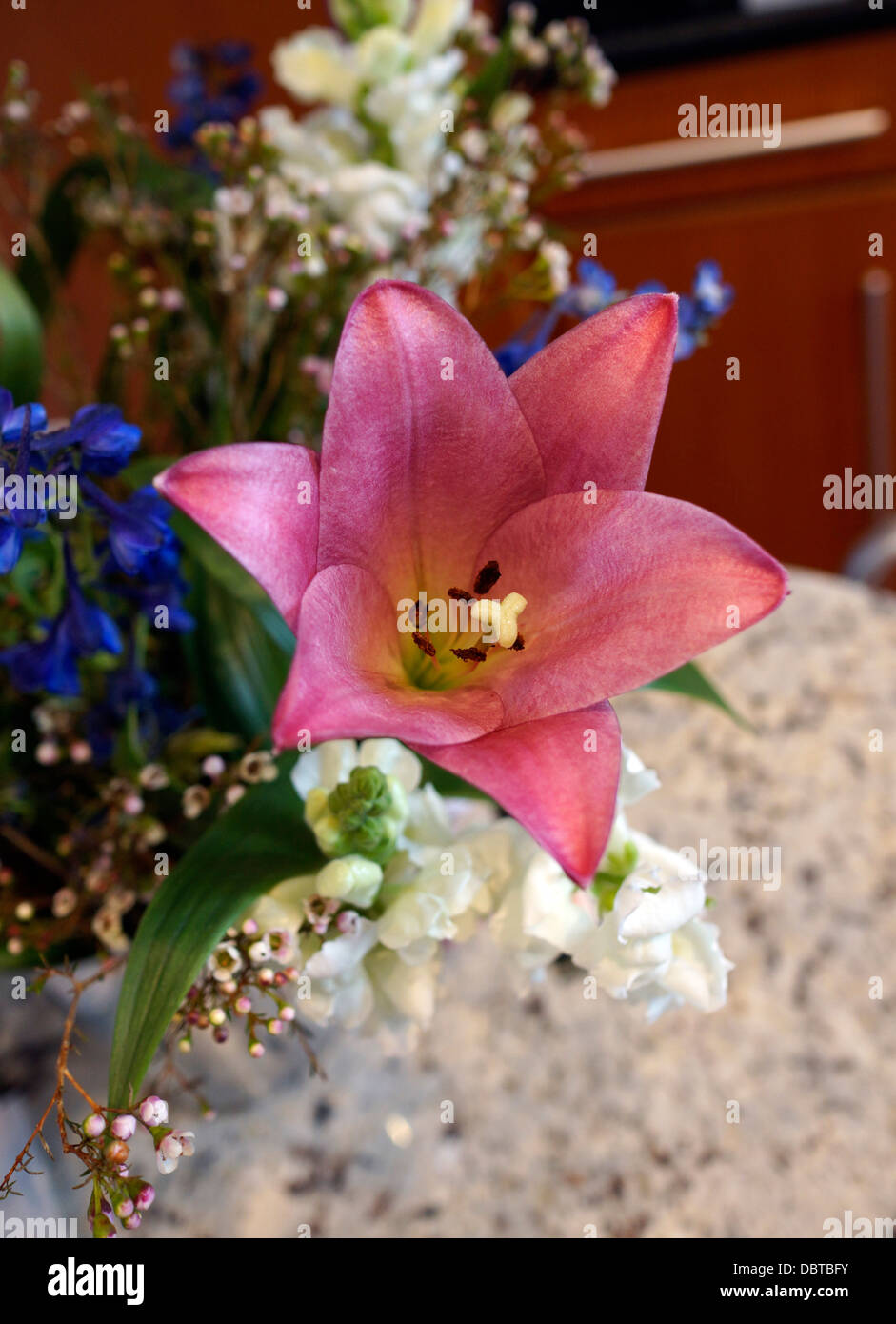 Mixed pink flower bouquet hi-res stock photography and images - Alamy
