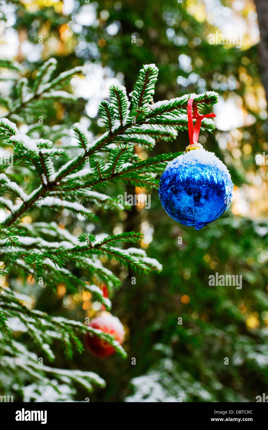Christmas tree outdoors hi-res stock photography and images - Alamy