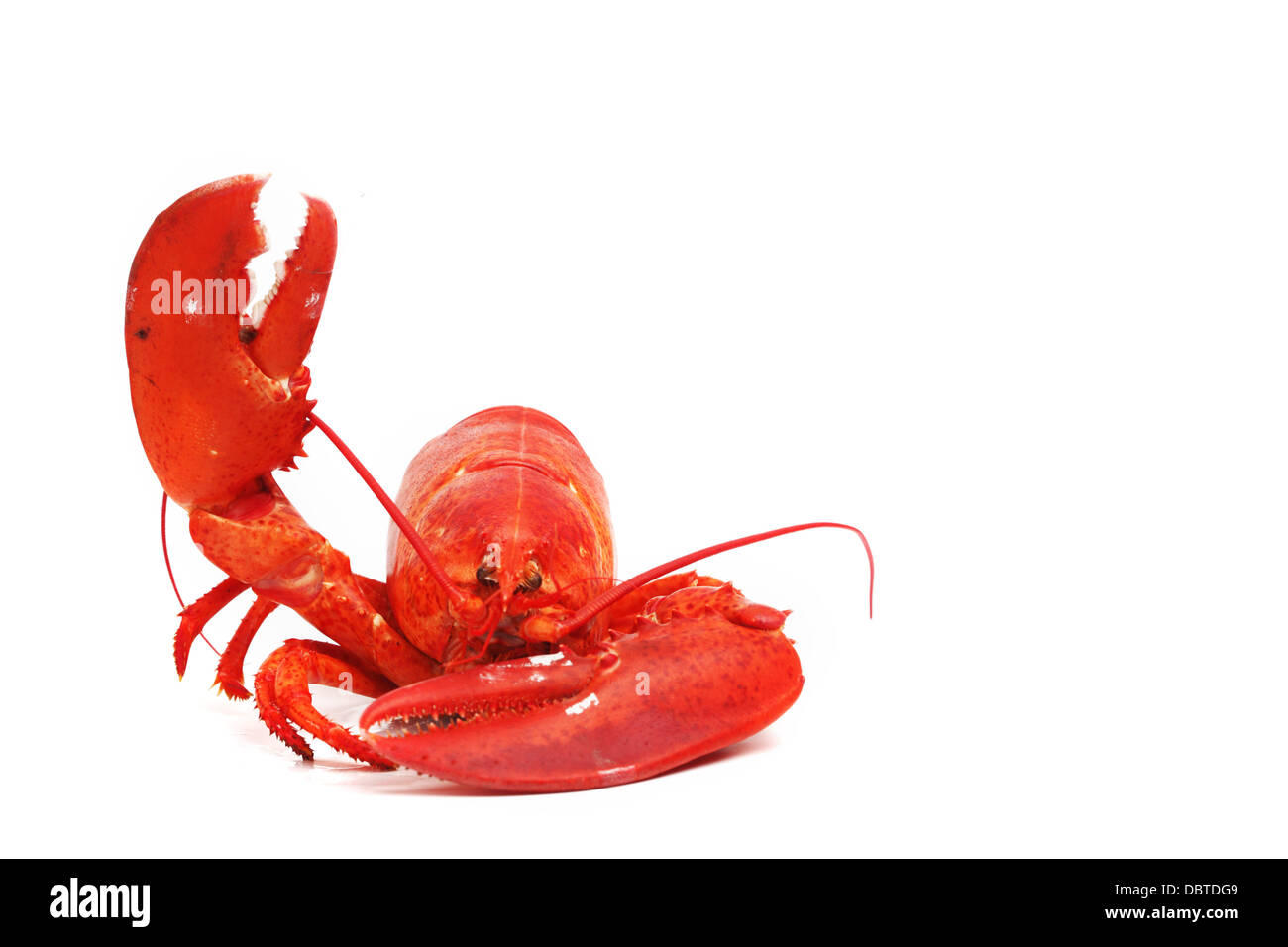 Food cutout hi hi-res stock photography and images - Alamy