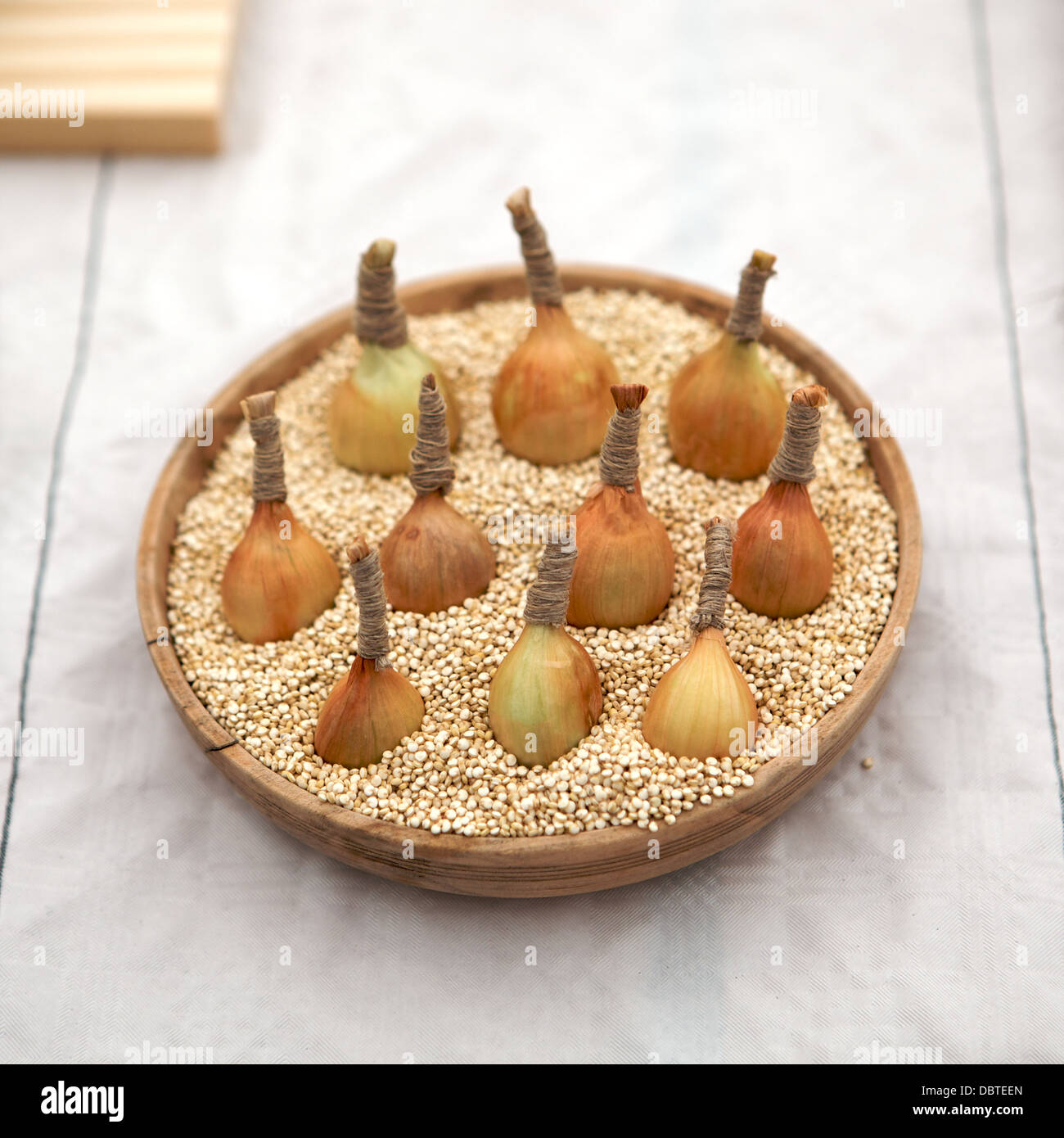 String of small onions hi-res stock photography and images - Alamy