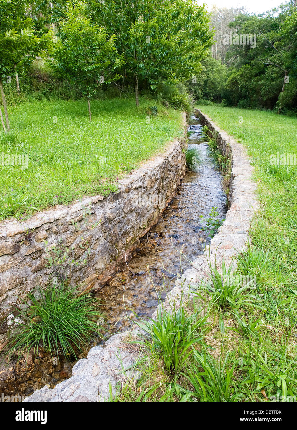Water canal in nature in vertical composition Stock Photo - Alamy