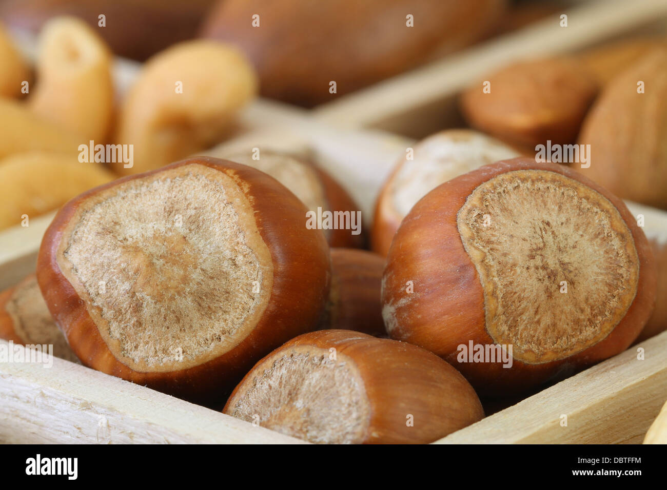 Hazelnuts in wooden box, close up Stock Photo - Alamy