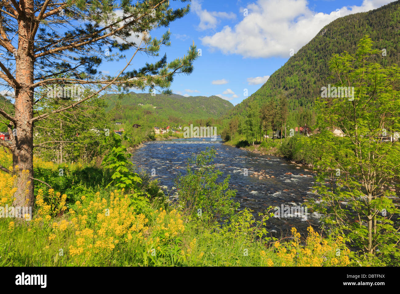 Tokke hi-res stock photography and images - Alamy