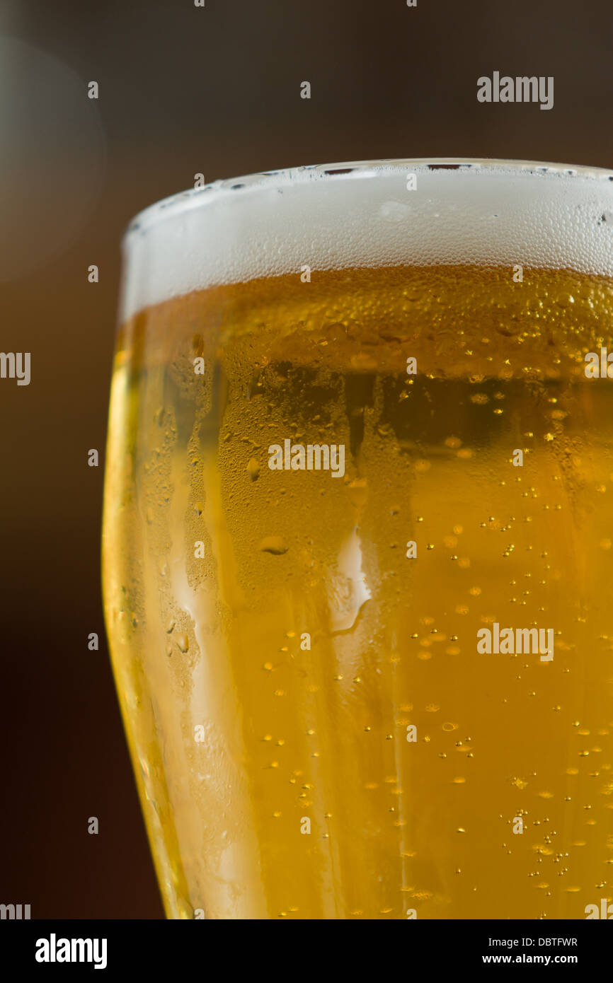single beer served in a bar with an out of focus background Stock Photo ...