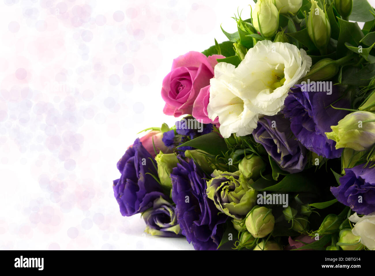 Bouquet of white,blue and pink flowers with diffused background Stock ...