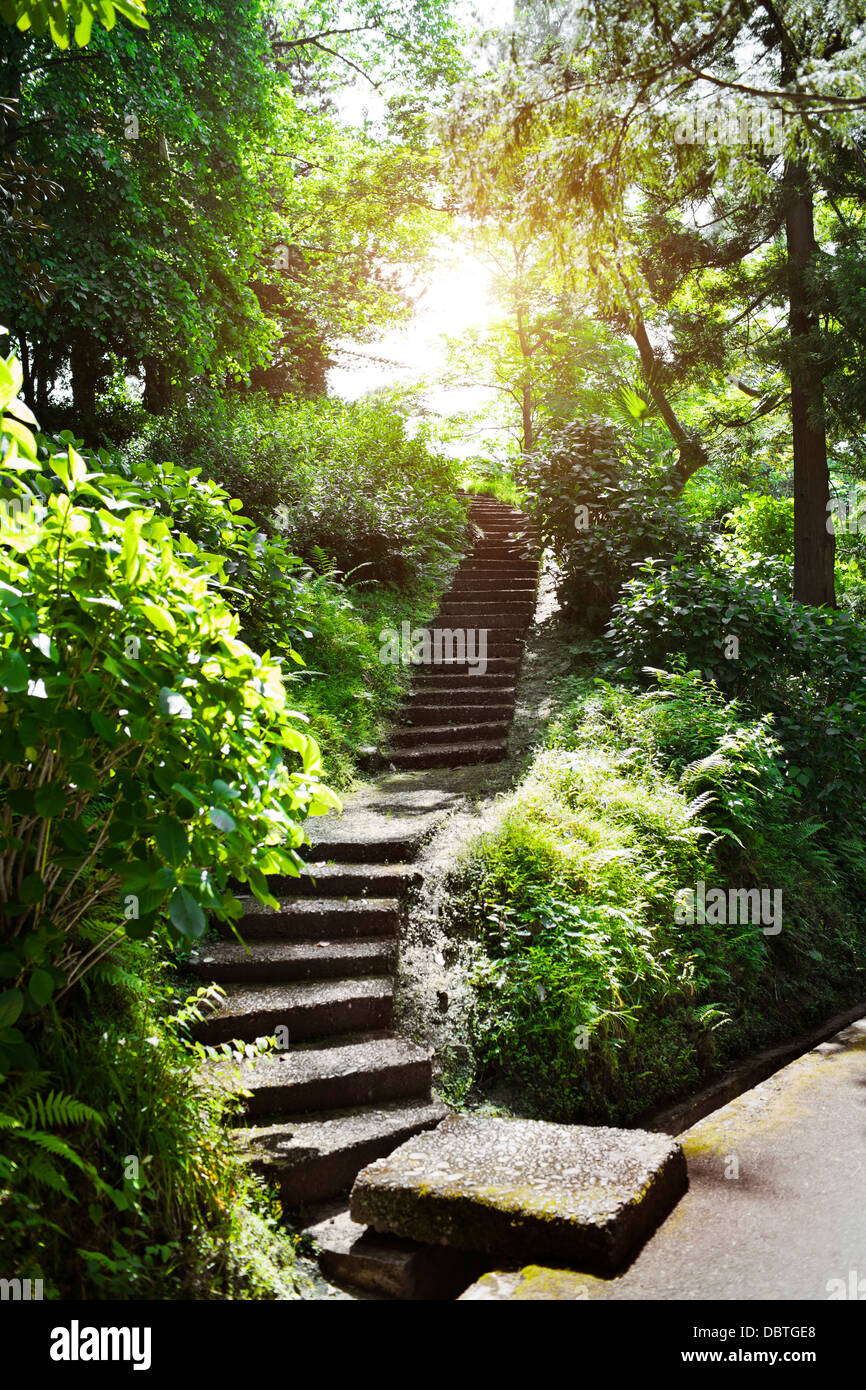 Stone stairs in summer park Stock Photo - Alamy