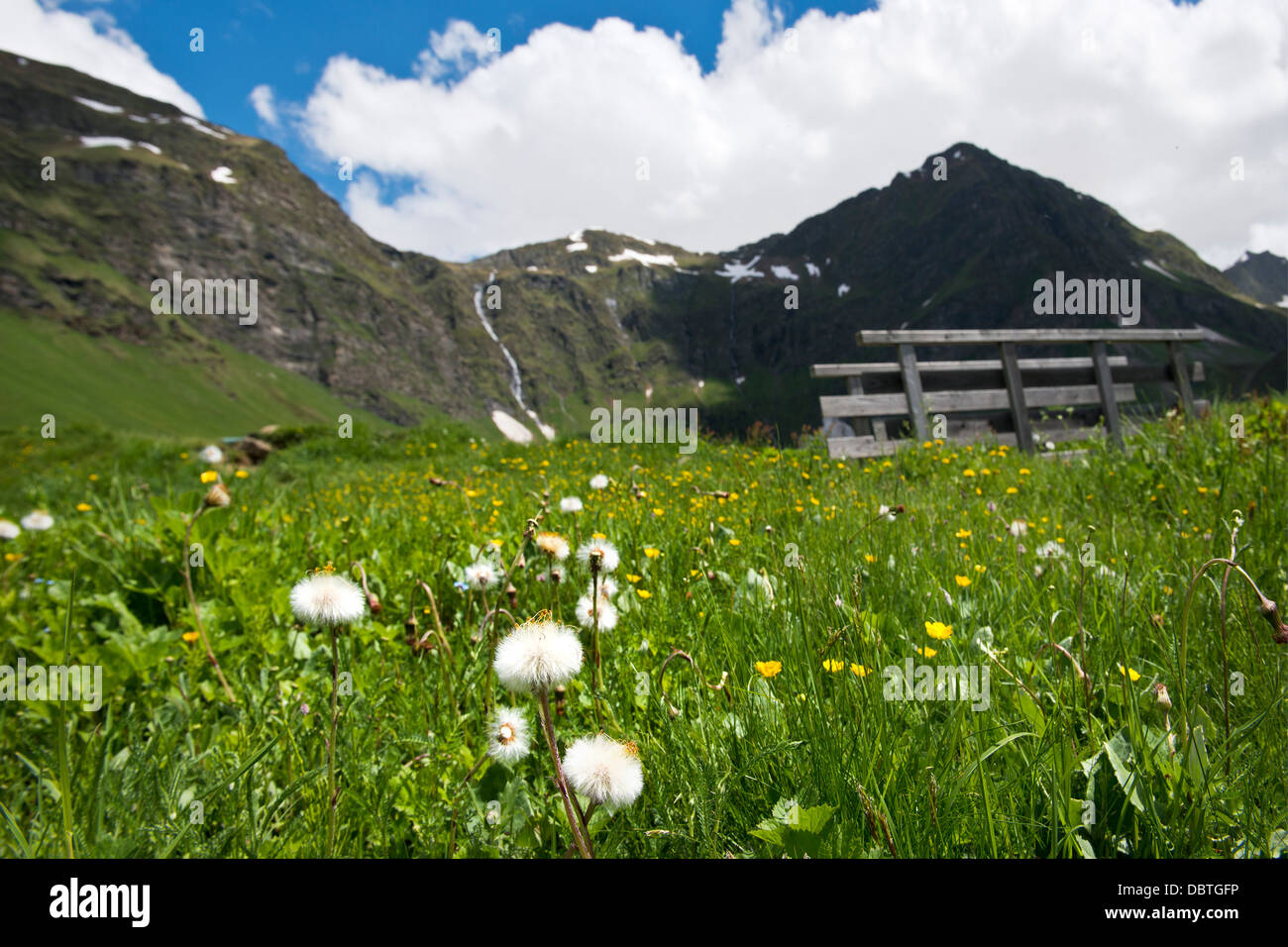 Switzerland, Canton Ticino, Ritom-Piora Stock Photo - Alamy