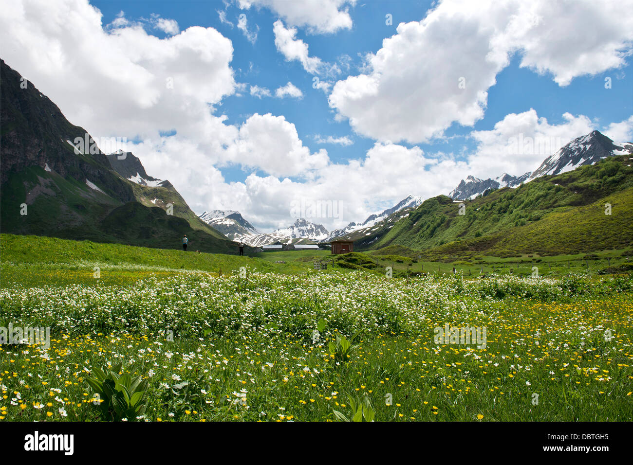 Switzerland, Canton Ticino, Ritom-Piora Stock Photo - Alamy