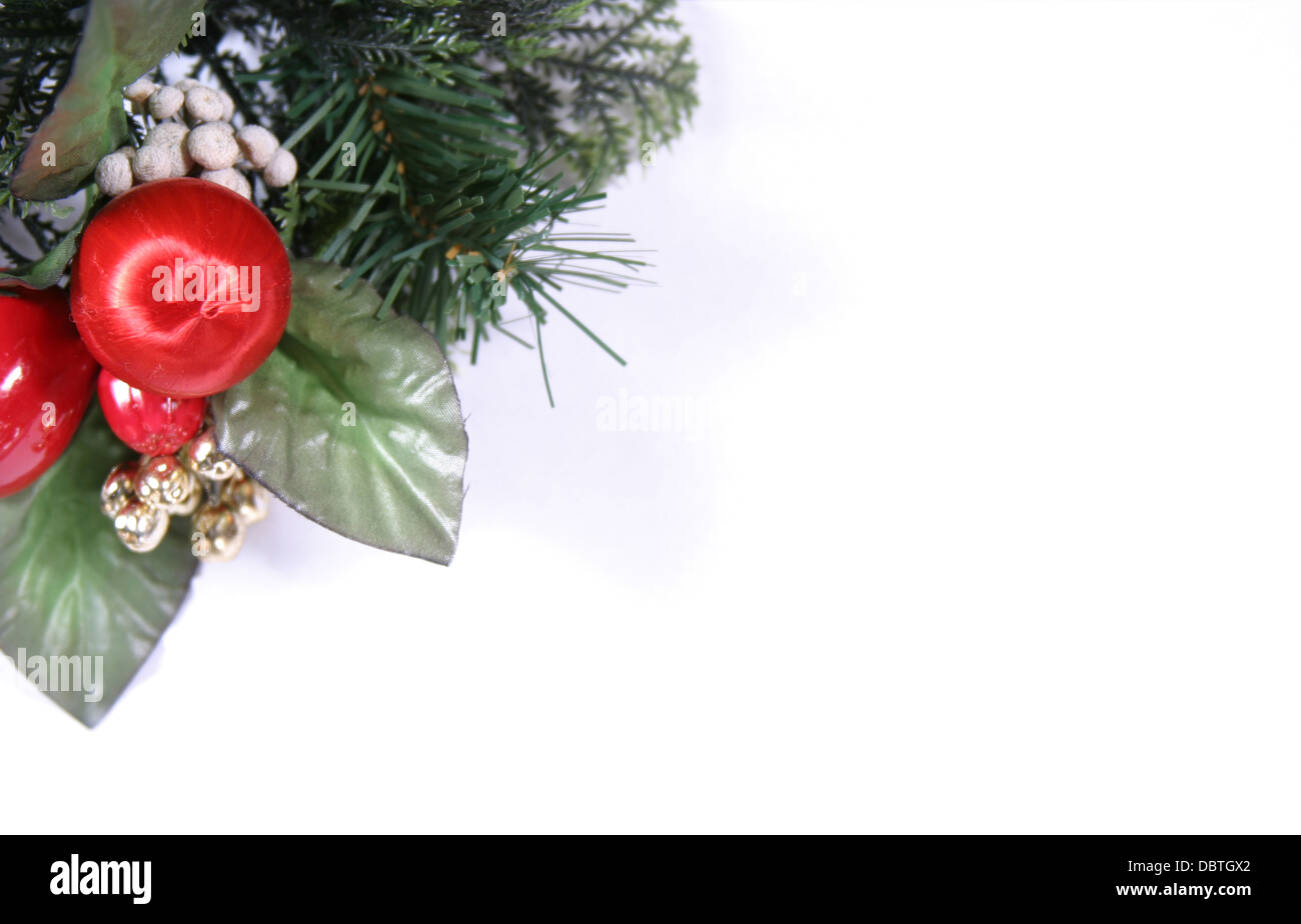 Red and green holiday sprig with white berries Stock Photo - Alamy