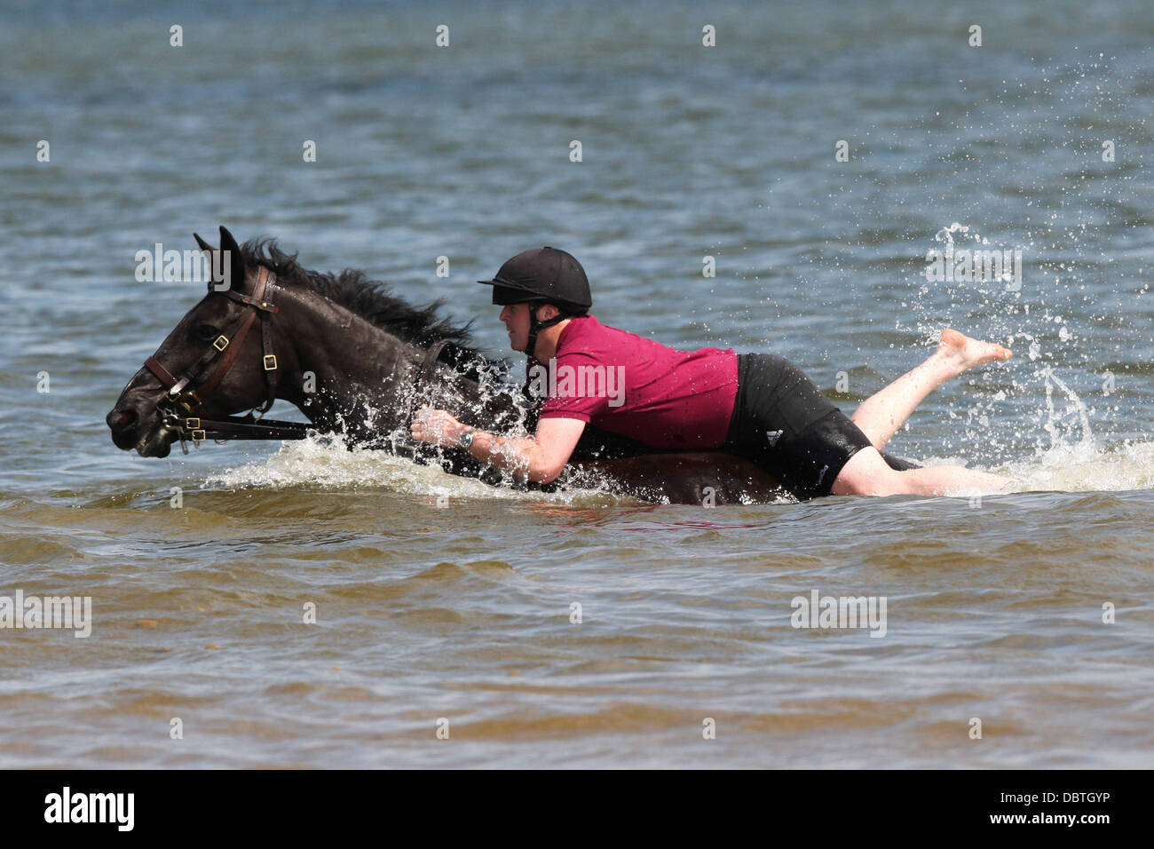 HORSES AND SOLDIERS OF THE HOUSEHOLD CAVALRY (LIFEGUARDS) IN THE SEA AT ...
