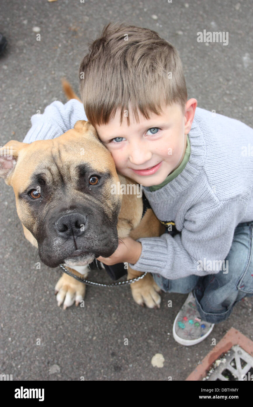 boy and dog best friends Stock Photo - Alamy