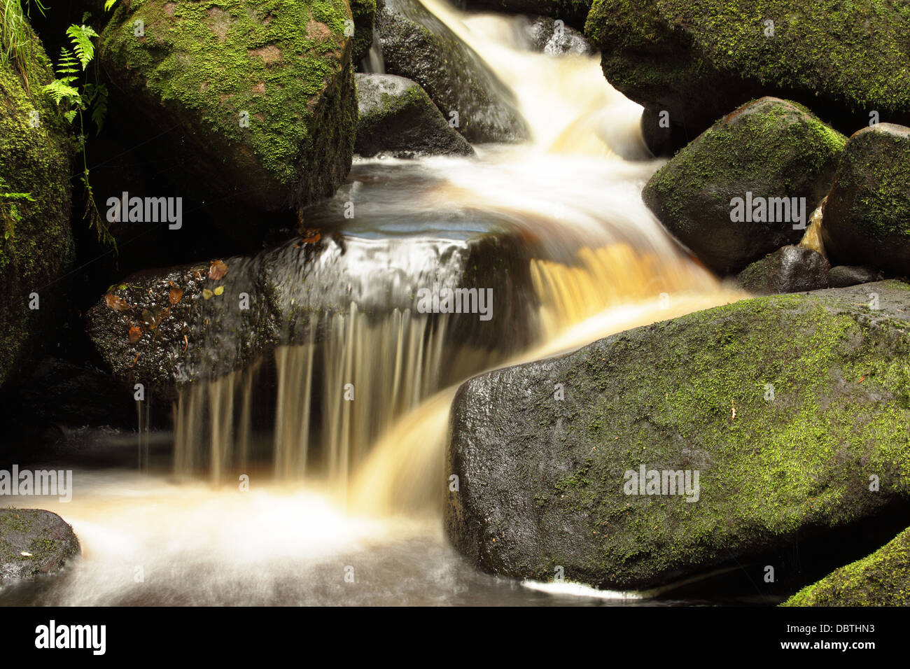 Padley Gorge, Derbyshire, UK Stock Photo - Alamy