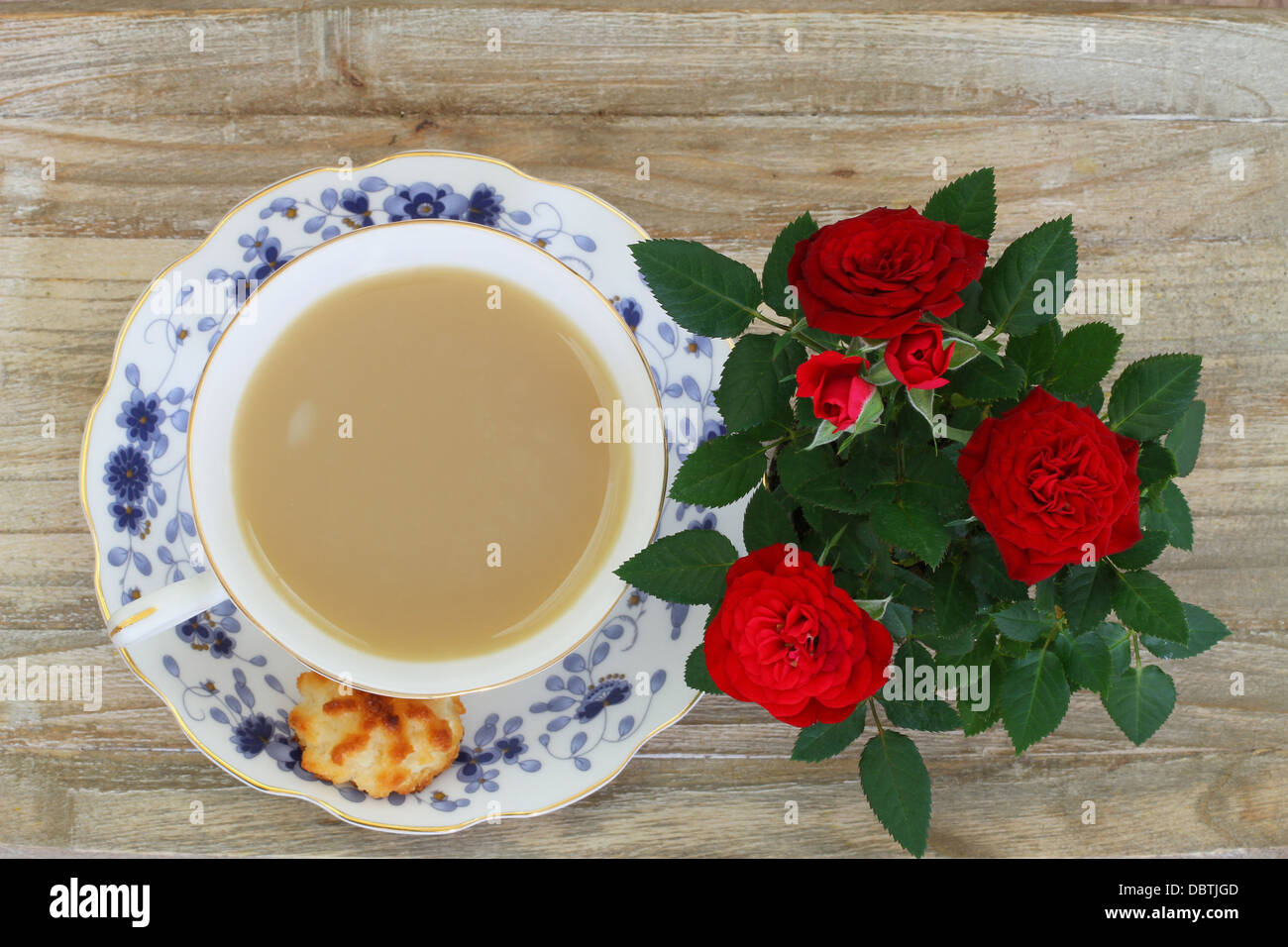 English tea rose hi-res stock photography and images - Alamy