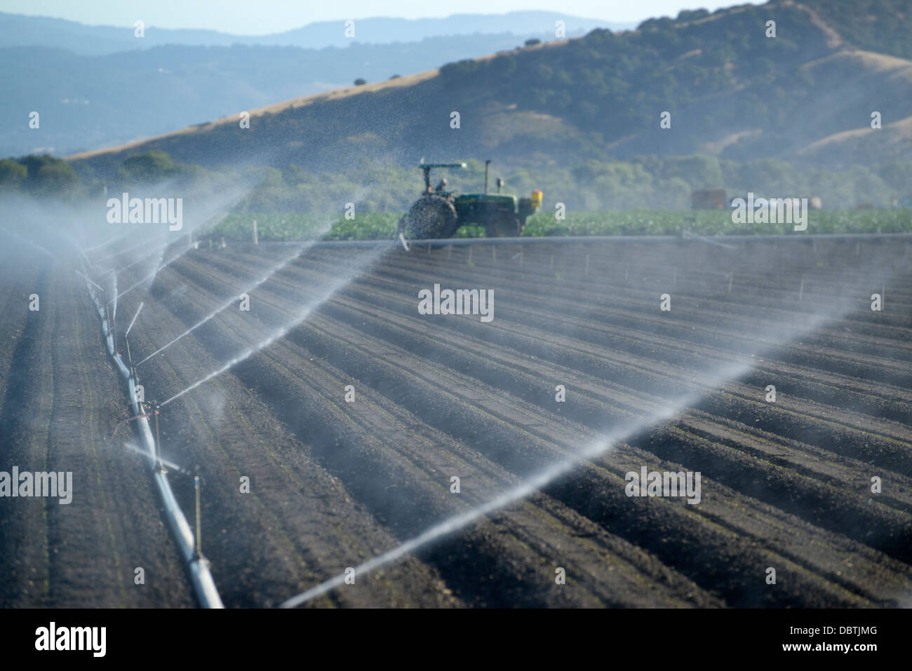 Watering young crops, Salinas Valley, central CA Stock Photo - Alamy