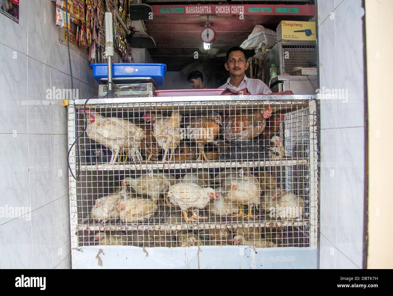 Man selling live chickens in hi-res stock photography and images - Alamy